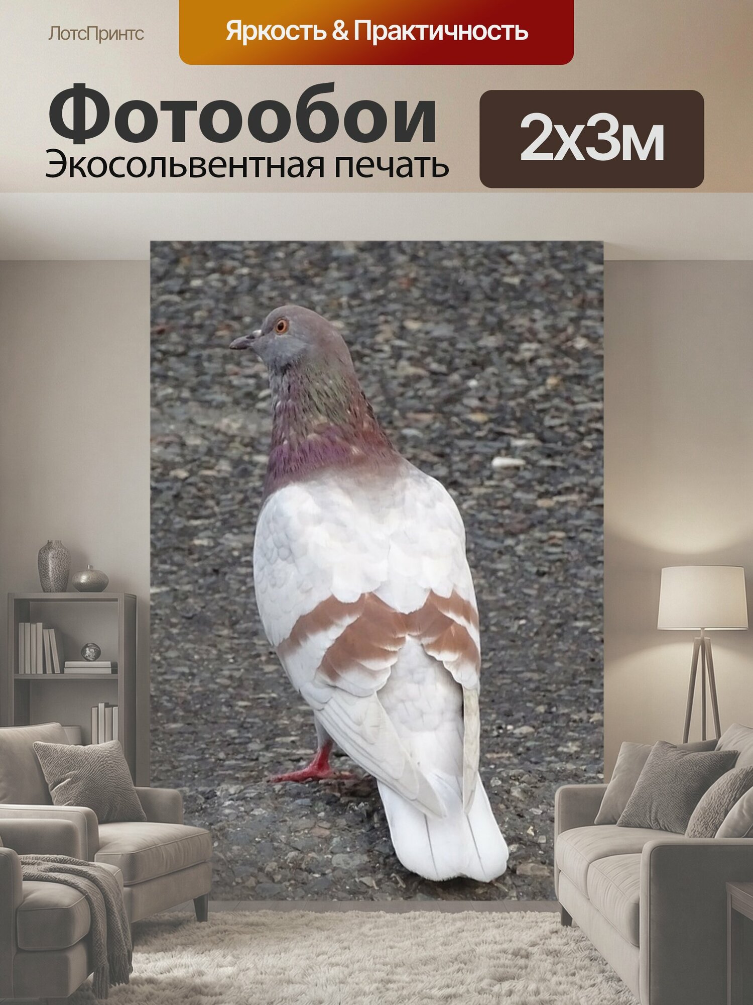 Фотообои "Голуб, птица, голубь" 200x300 см. экосольвентная печать