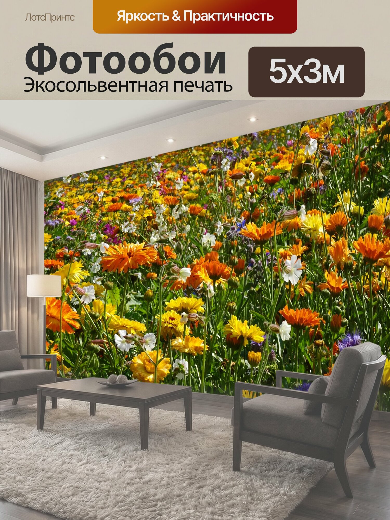 Фотообои "Цветочный луг, цветок, поле цветов" 500x300 см. экосольвентная печать