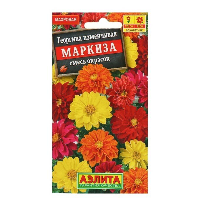 Семена цветов Георгина махровая 'Маркиза', смесь окрасок, О, 10 шт