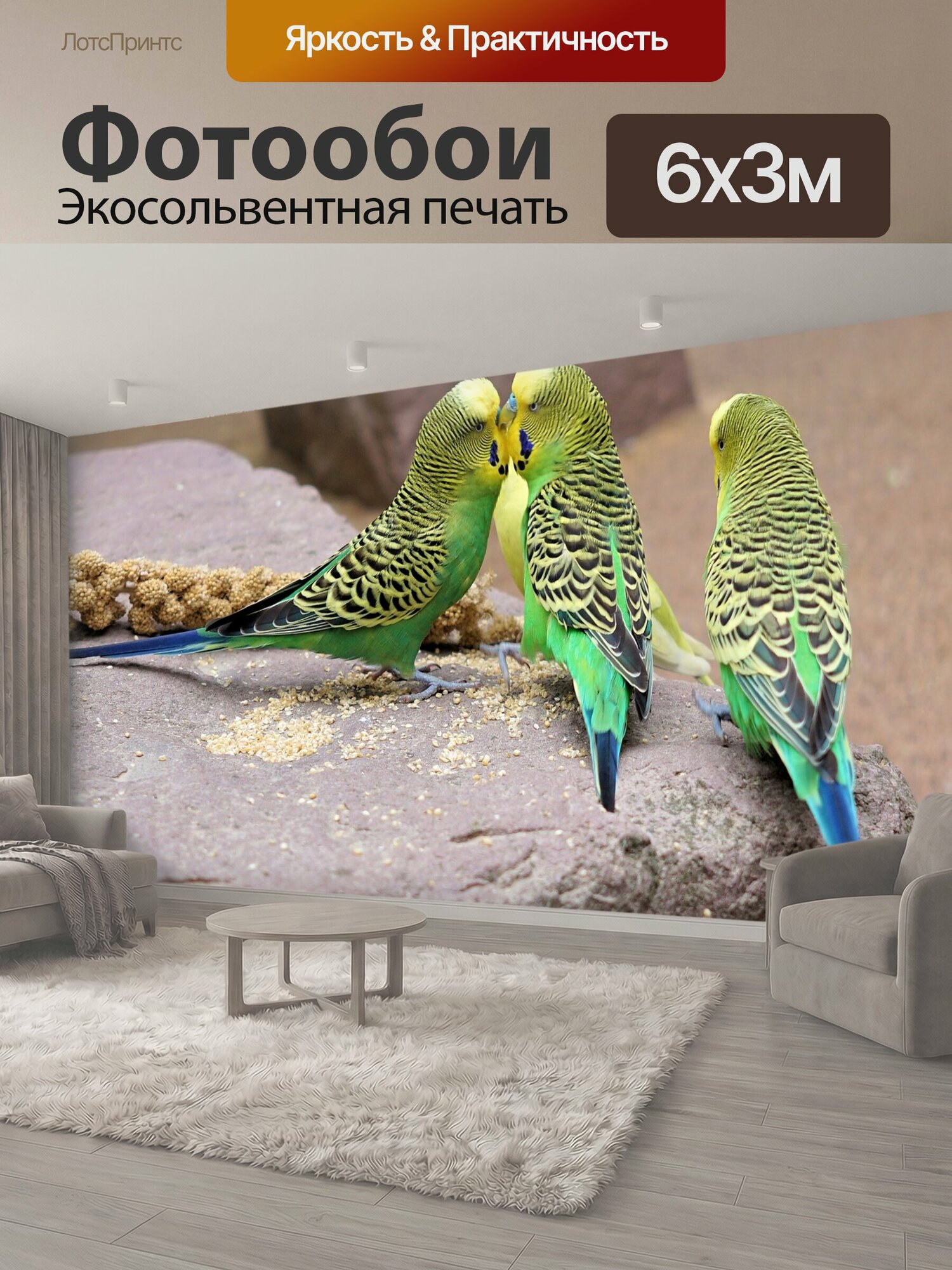 Фотообои "Волнистый попугайчик, птица, попугай" 600x300 см. экосольвентная печать