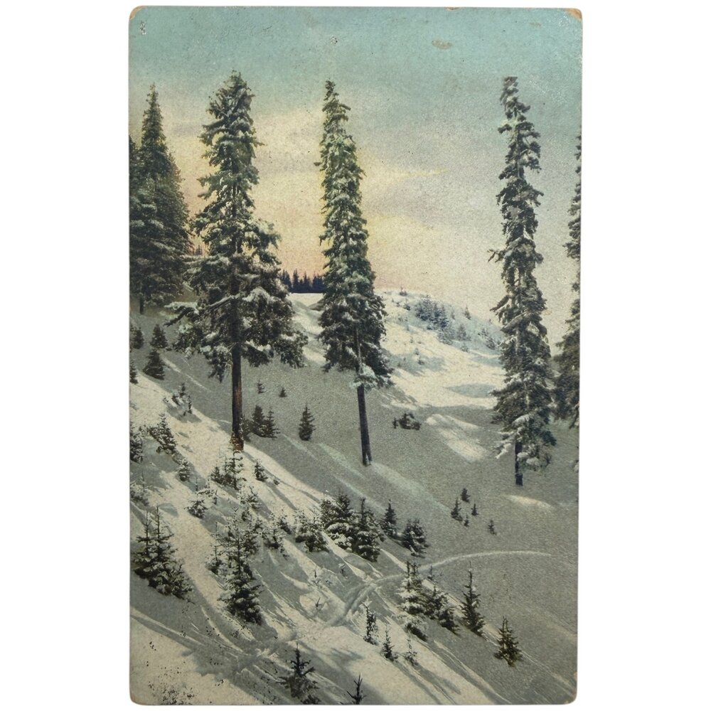 Почтовая открытка "Снежные склоны" 1900-1908 гг. Германская Империя