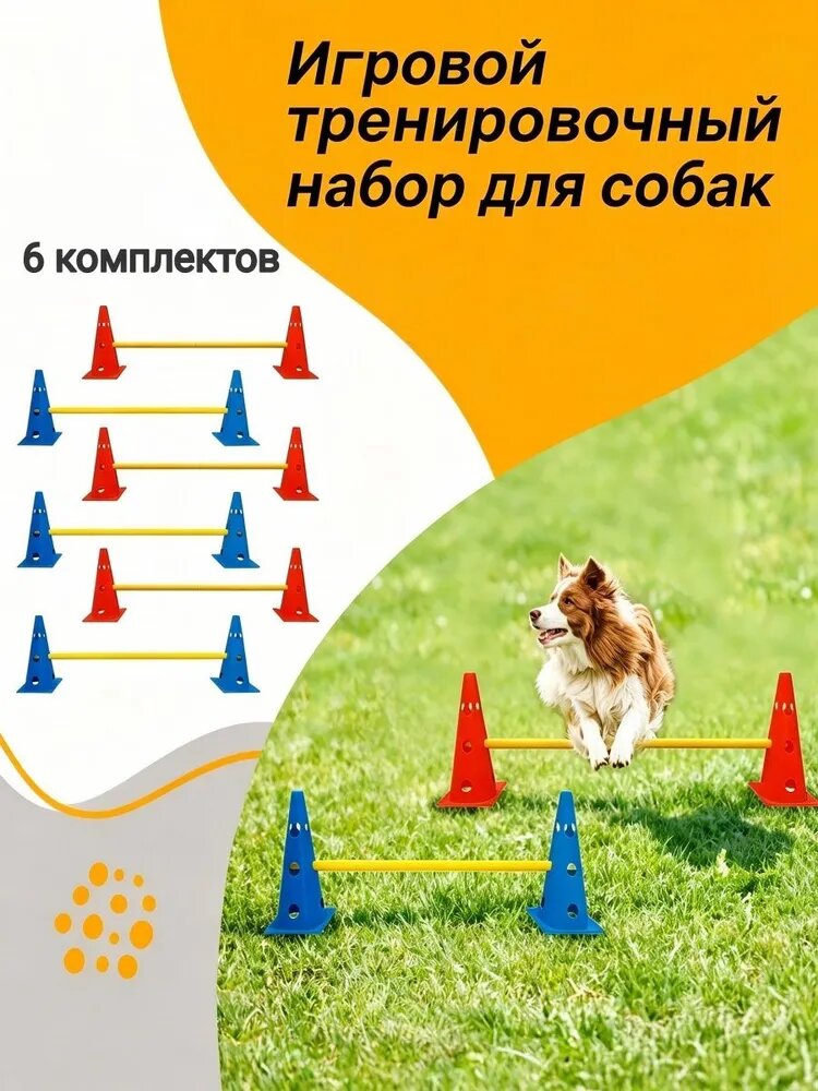 Дрессировка питомцев/Оборудование для тренировки собак/преодоления препятствий на собачьих