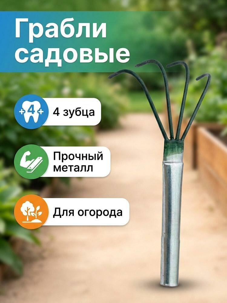 Грабли , Веерные, Нержавеющая сталь