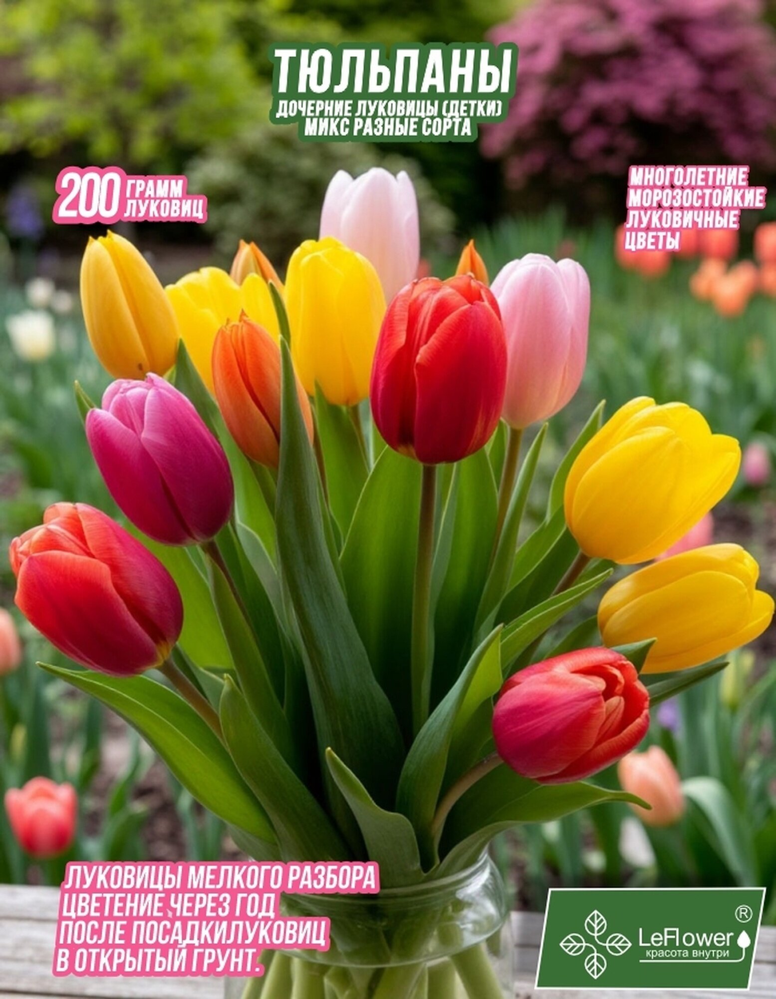 Тюльпаны LeFlower, дочерние луковицы, растение многолетнее, 200 г