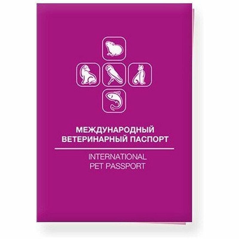Ветеринарный паспорт, фиолетовый