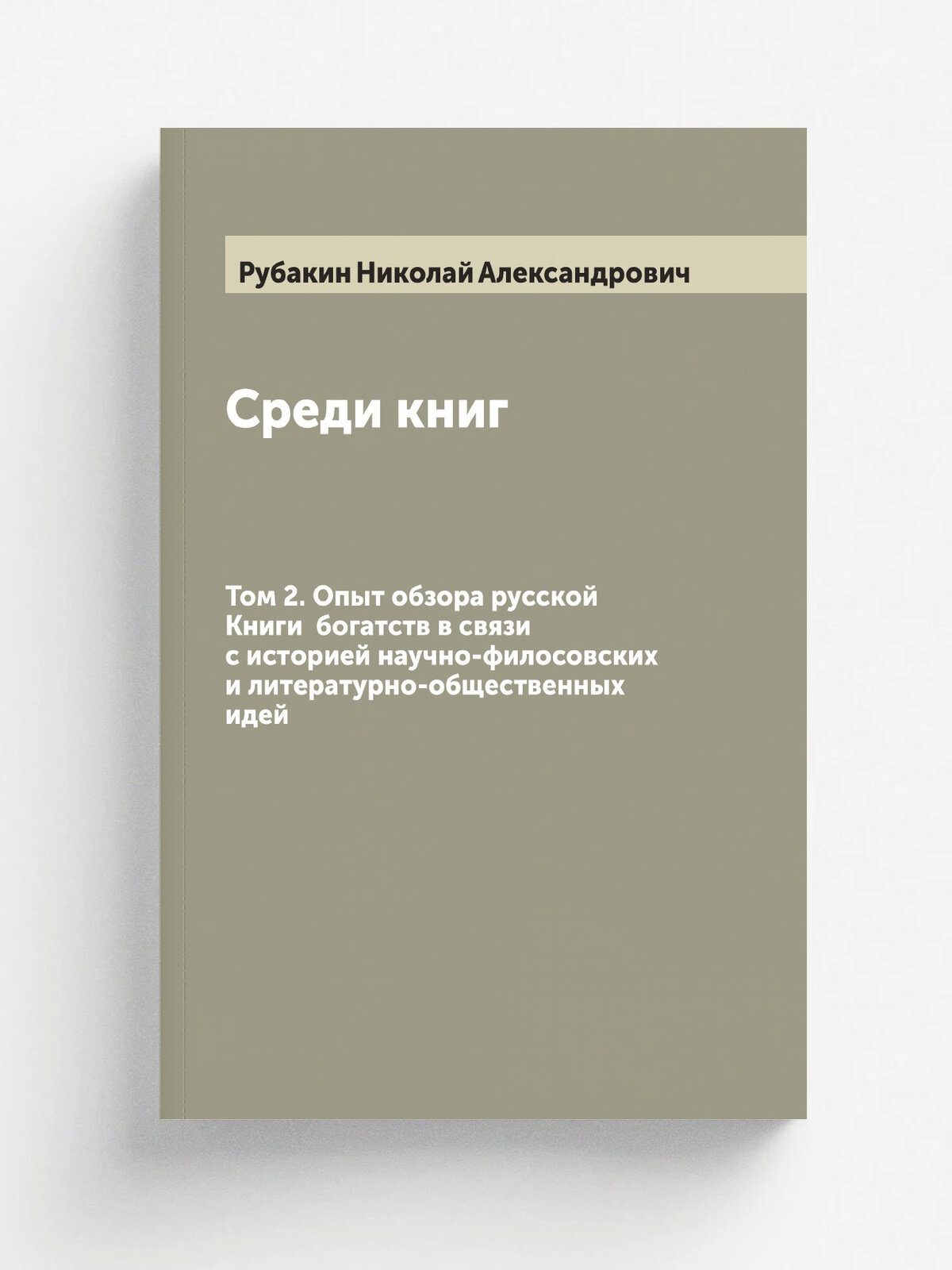 Среди книг. Том 2. Опыт обзора русской Книги богатств в связи с историей научно-филосовских и литературно-общественных идей