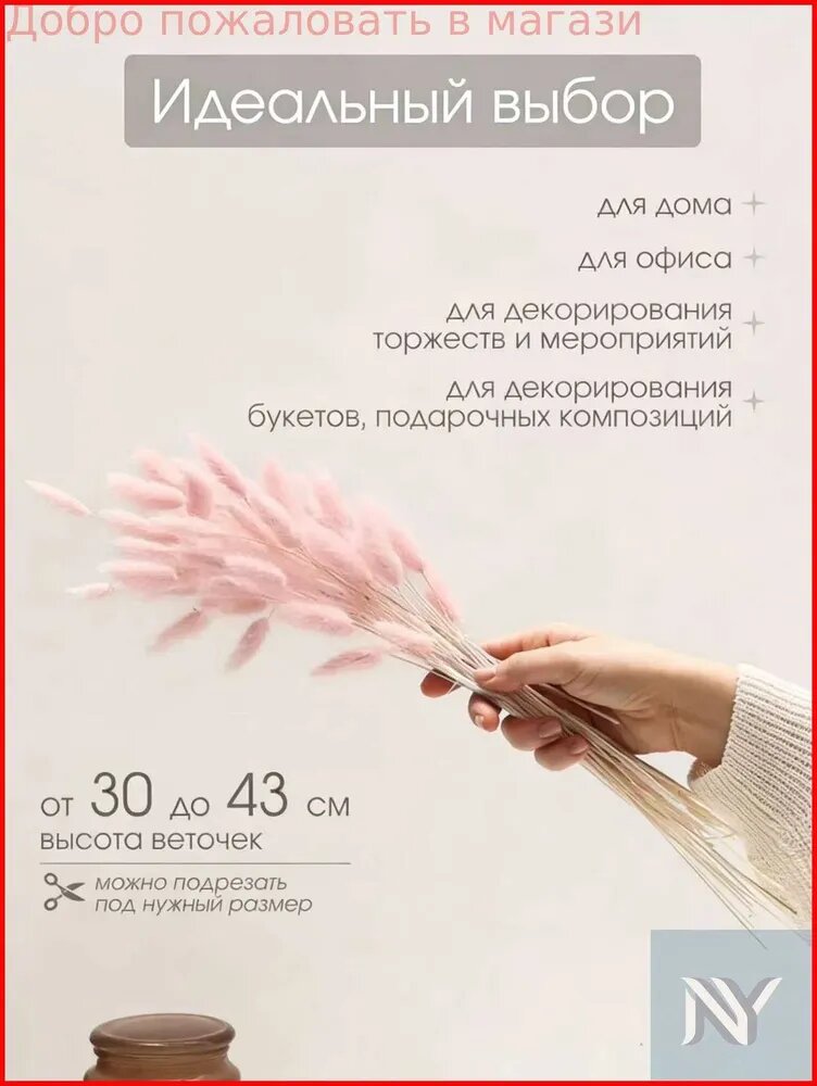 Сухоцветы, 60 шт — фото 1
