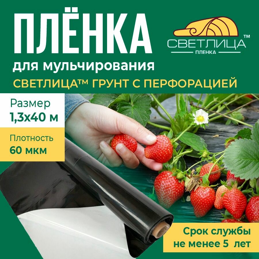 Пленка для мульчирования Светлица Грунт с перфорацией 60мкм, 1,3х40 м, двусторонняя