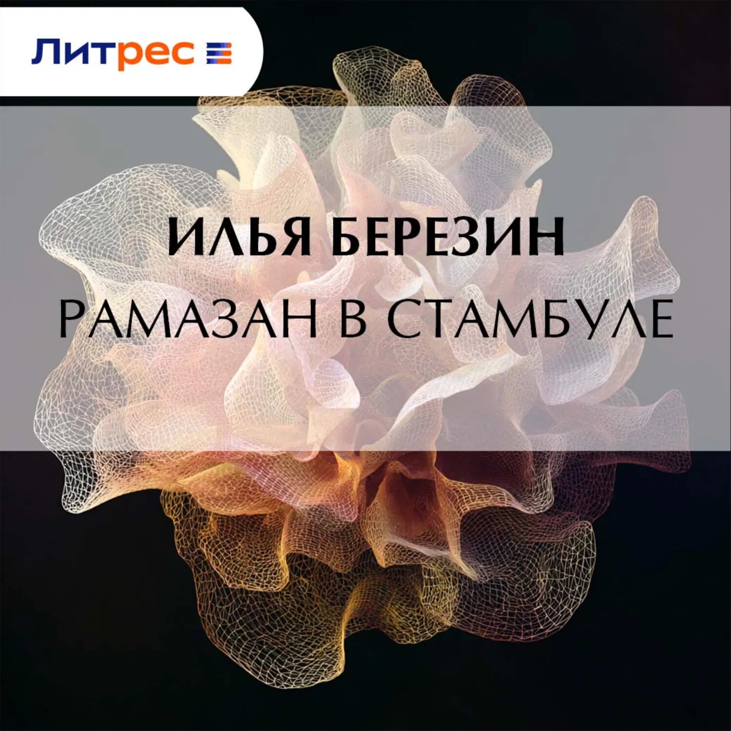 Рамазан в Стамбуле [Аудиокнига]