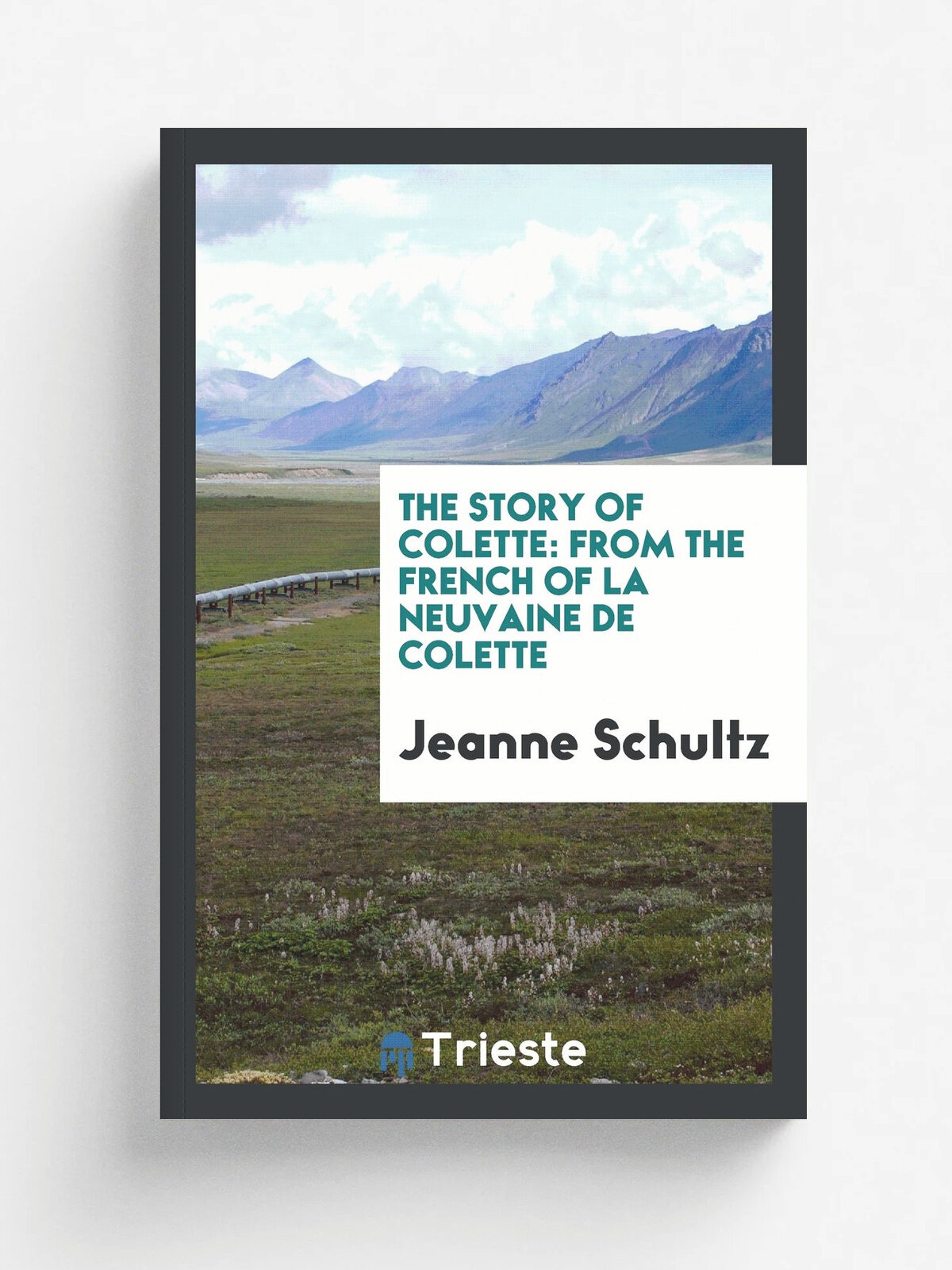 The Story of Colette. From the French of La Neuvaine De Colette