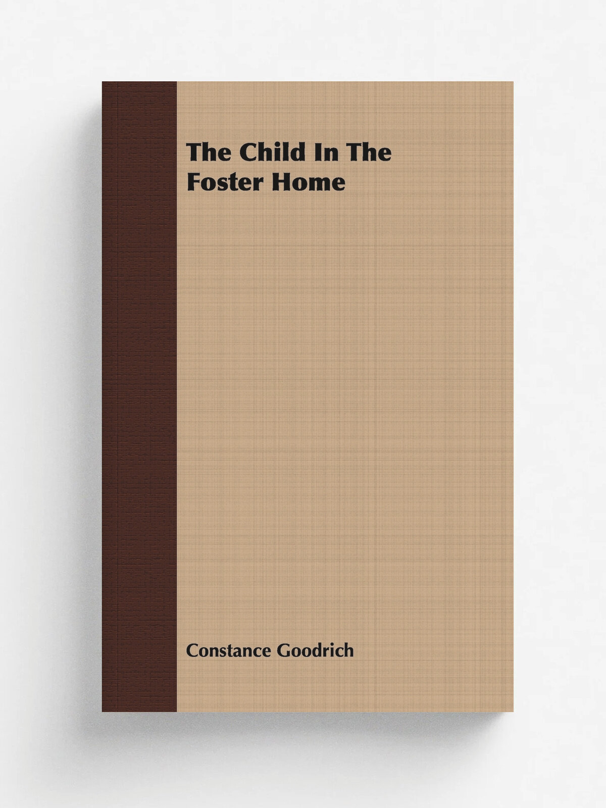 The Child In The Foster Home