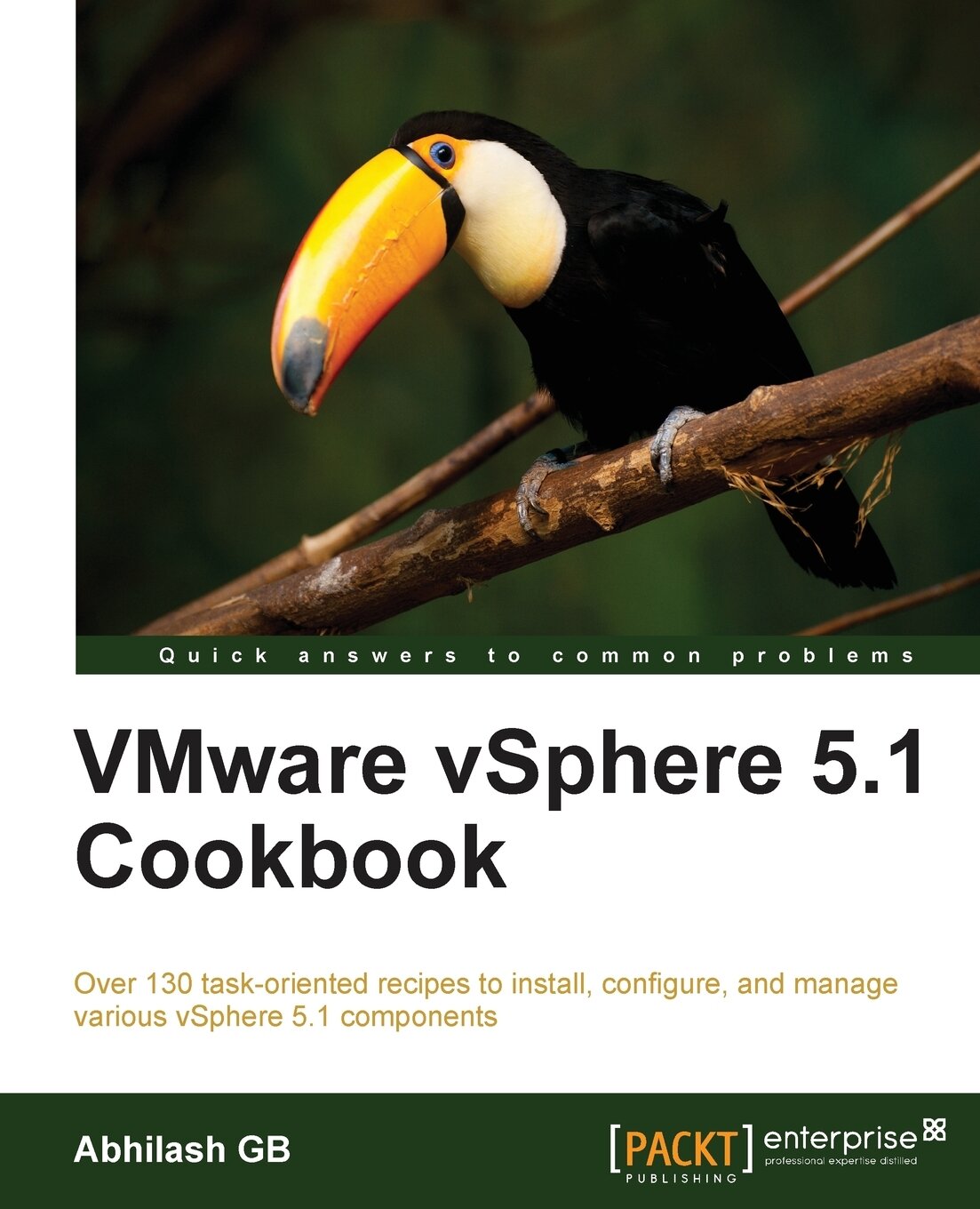 Vmware Vsphere 5.1 Cookbook — фото 1