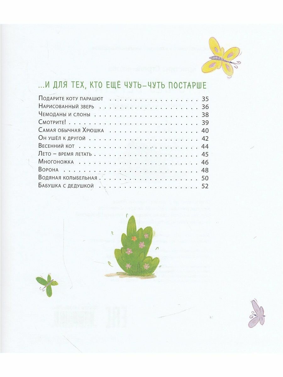Лето без берета — фото 1