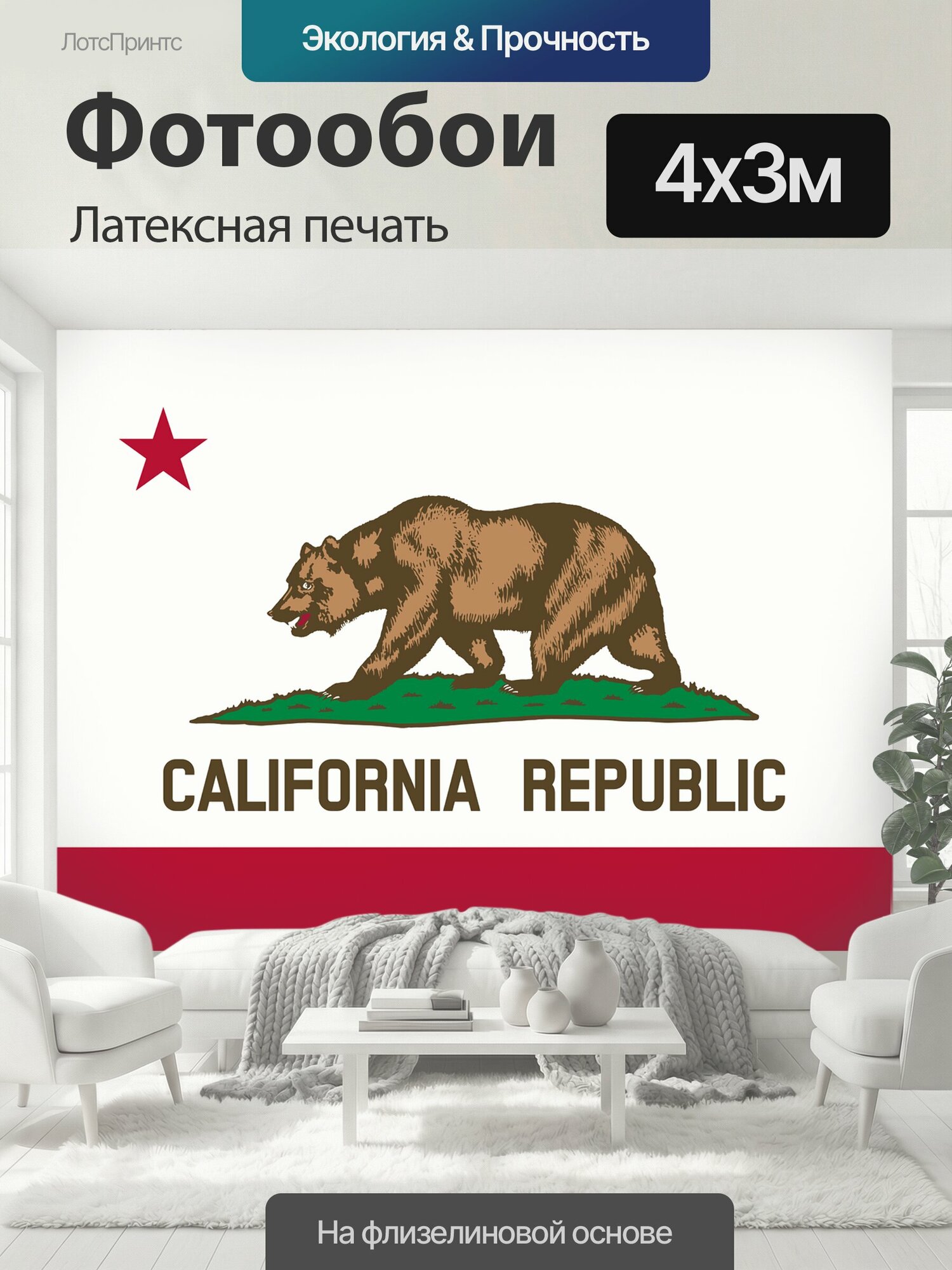 Фотообои моющиеся ударопрочные "Калифорния, штат, америка" 400x300 см. латексная печать