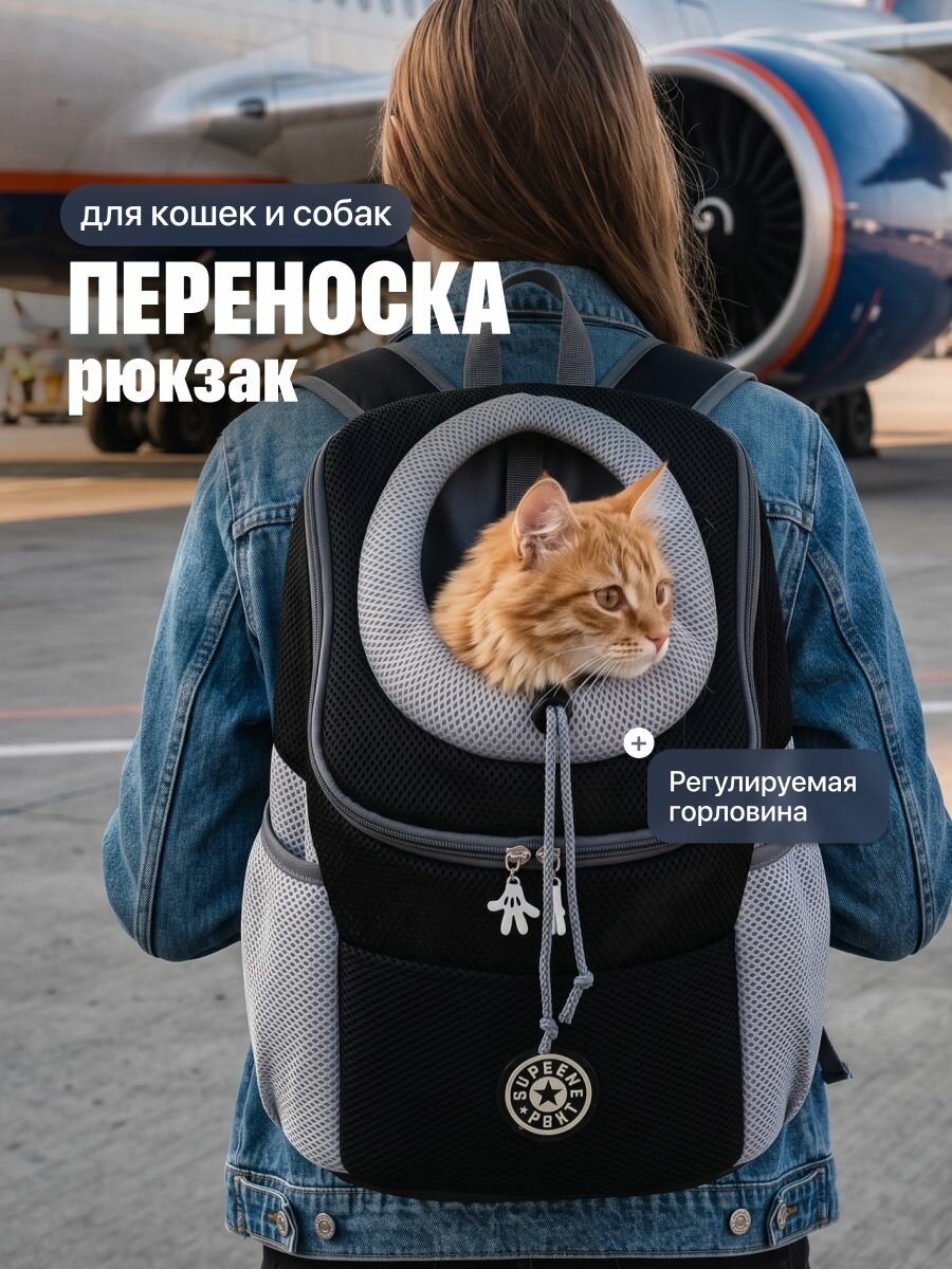 Дышащий рюкзак-переноска SSY для кошек и мелких собак, сетчатая конструкция для прогулок и поездок
