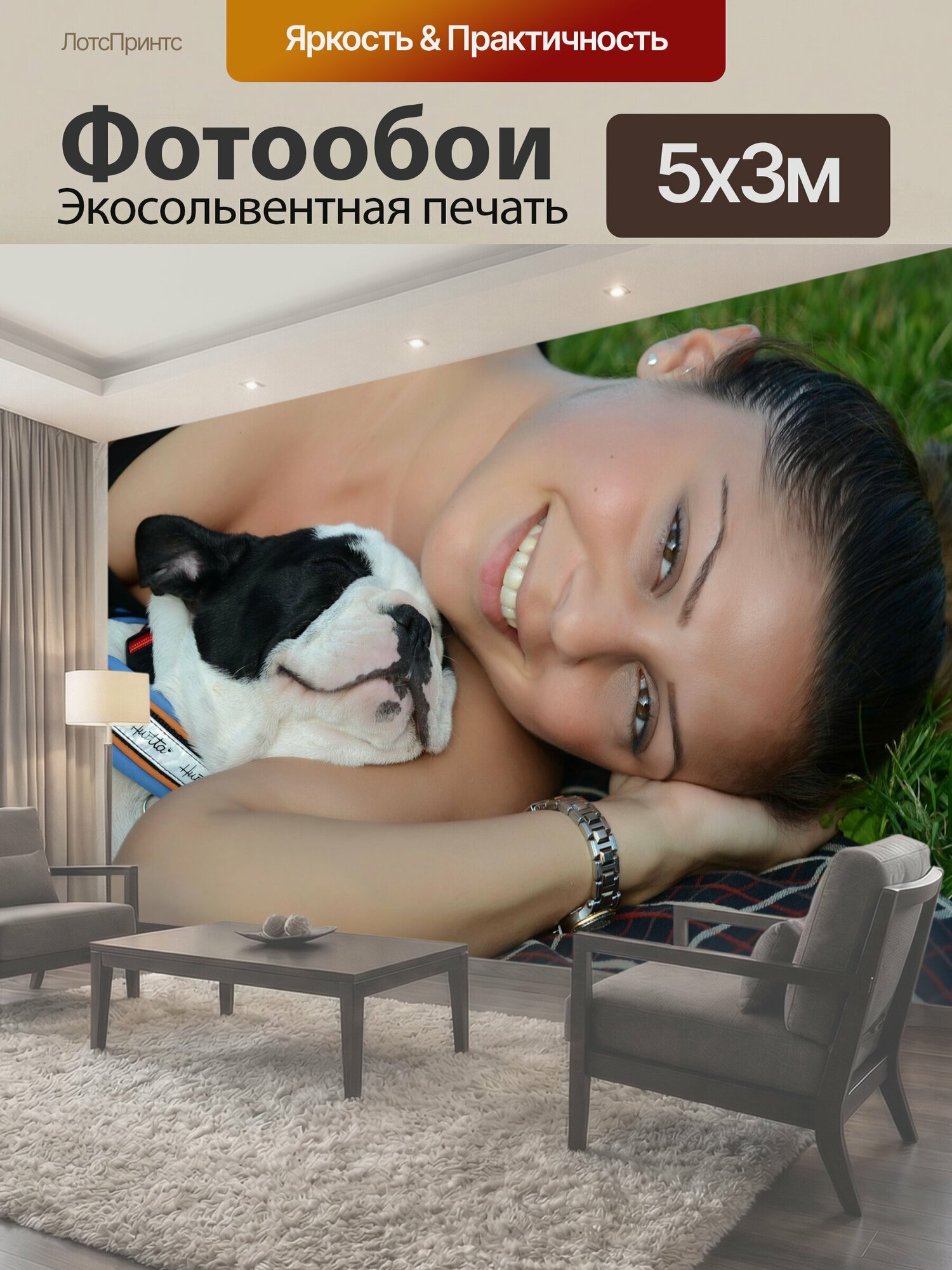Фотообои "Французский бульдог, собака, собачка" 500x300 см. экосольвентная печать