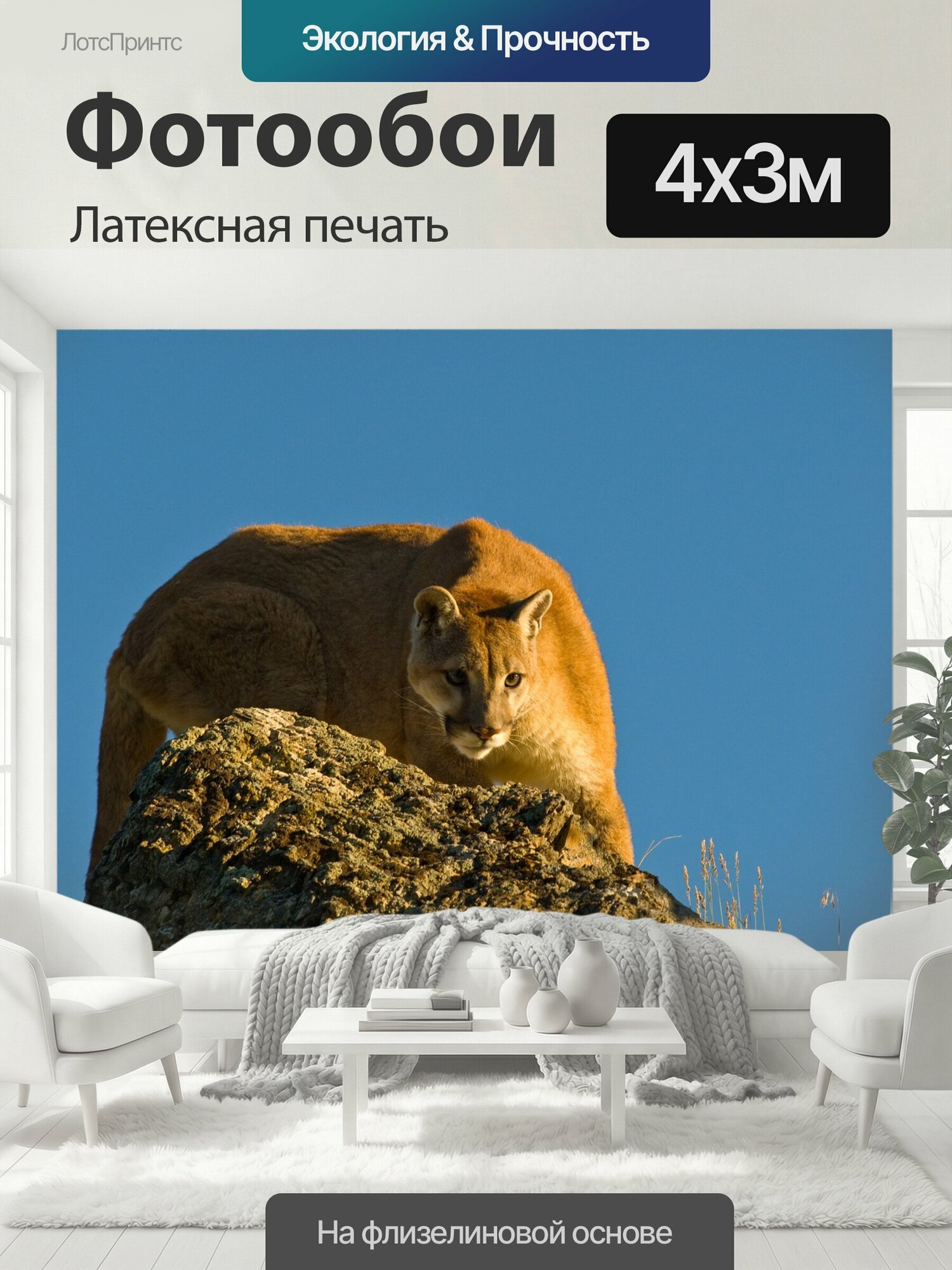 Фотообои моющиеся ударопрочные "Пума, горный лев, приседать" 400x300 см. латексная печать
