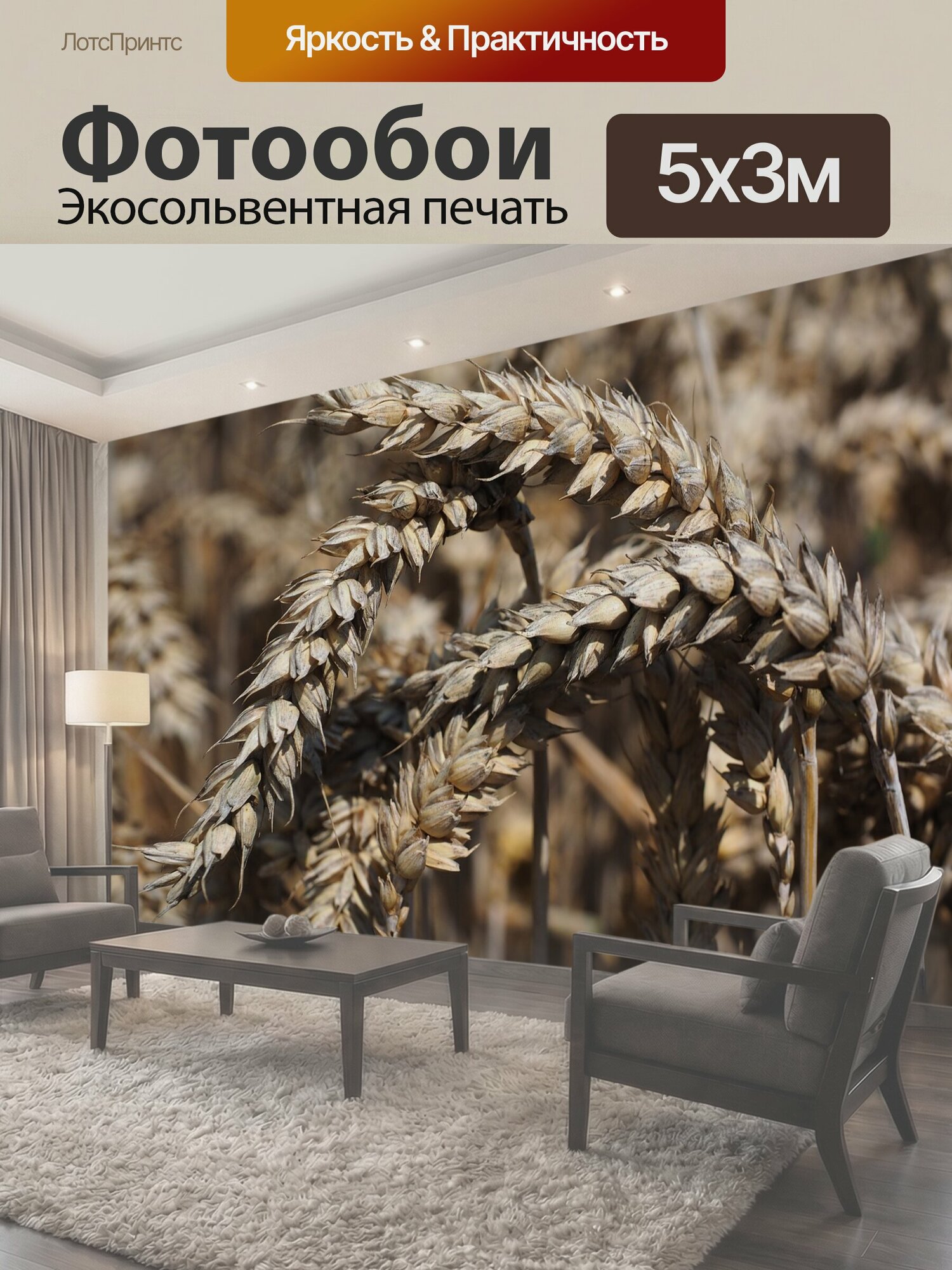Фотообои "Пшеничный колос, пшеница, шип" 500x300 см. экосольвентная печать