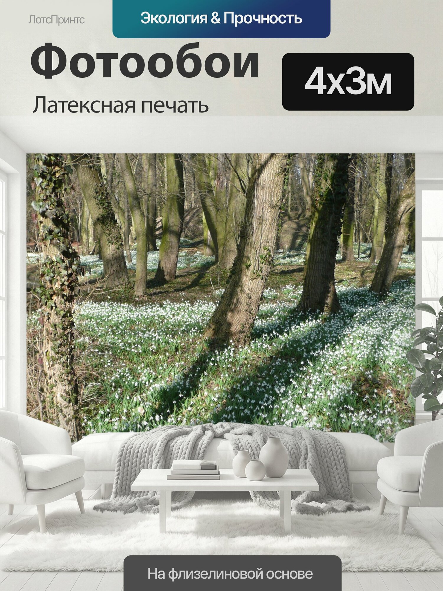 Фотообои моющиеся ударопрочные "Лес, подснежник, весна" 400x300 см. латексная печать