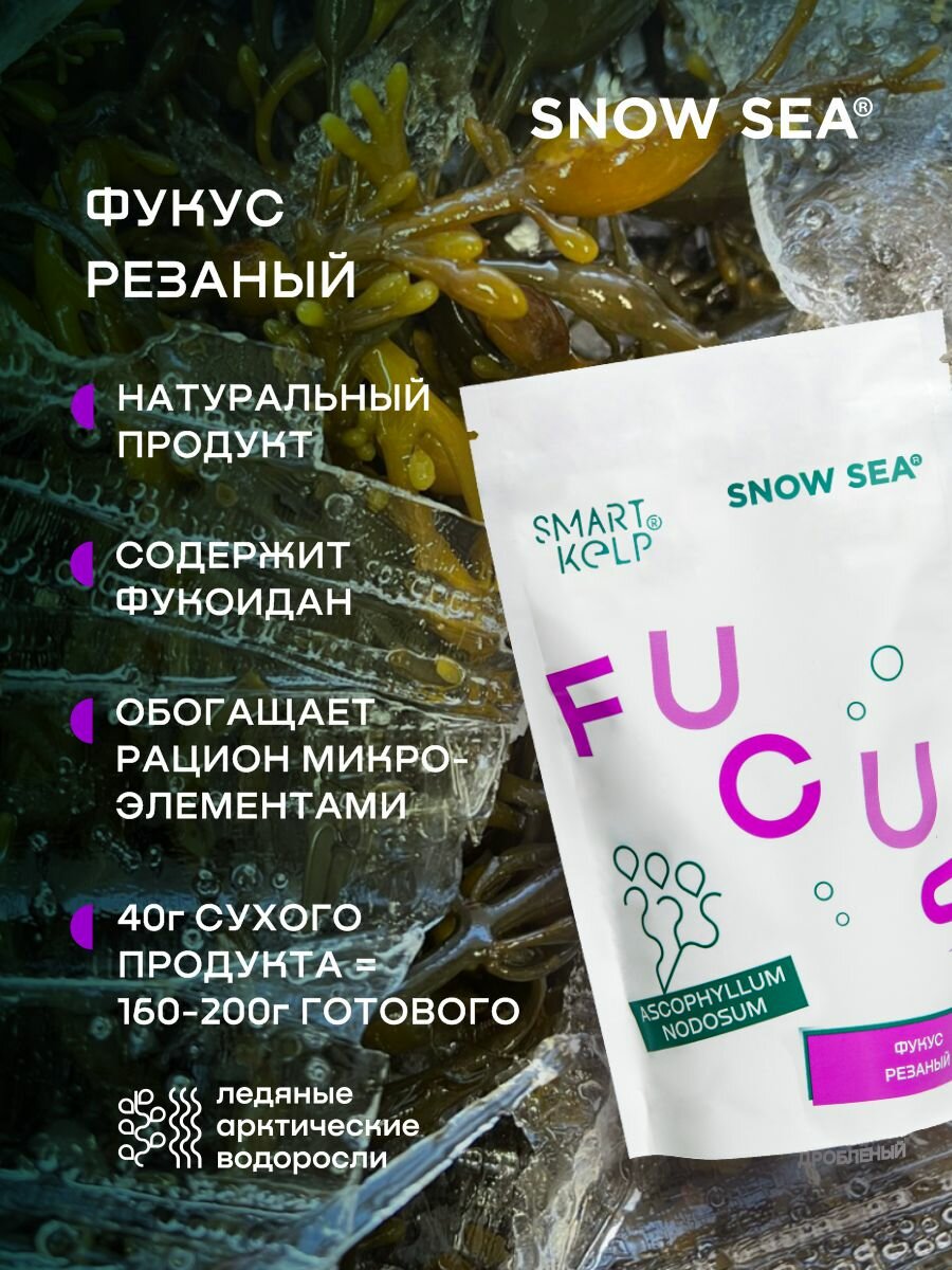 Фукус резаный водоросли беломорские пищевые сушеные SMARTKELP 40 г