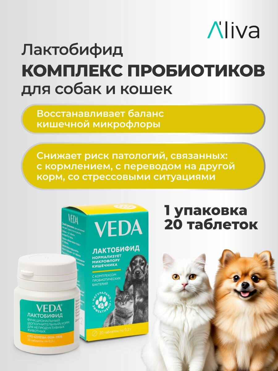 Комплекс пробиотиков для кошек и собак, лактобифид, VEDA, 20 таб, 1 шт.