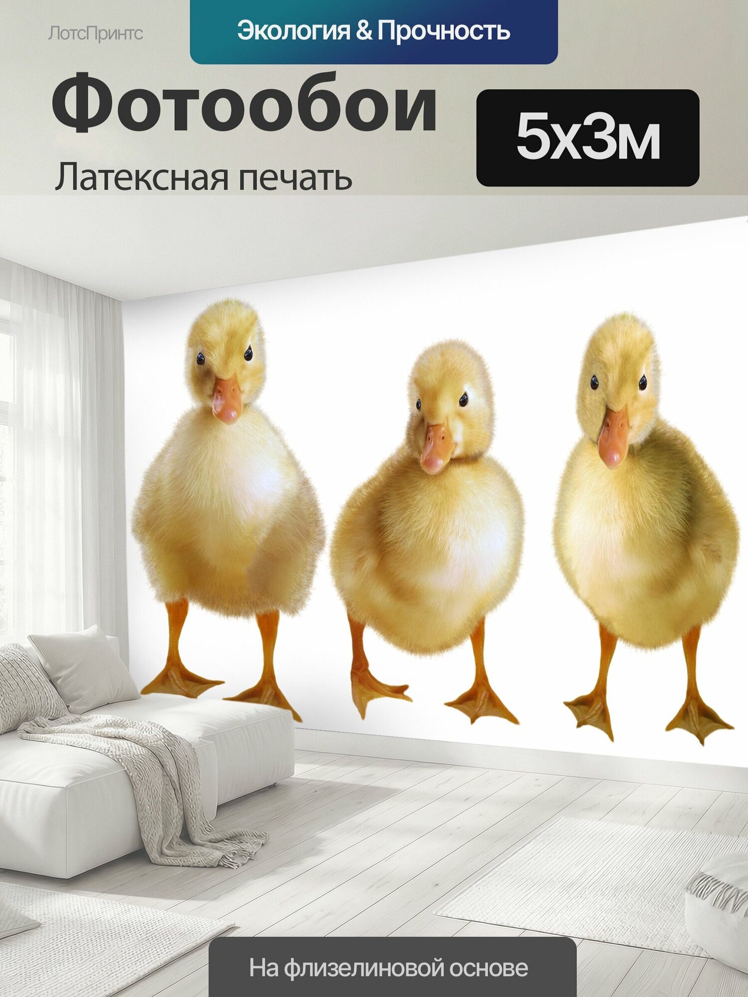 Фотообои моющиеся ударопрочные "Утки, утята, водоплавающая птица" 500x300 см. латексная печать