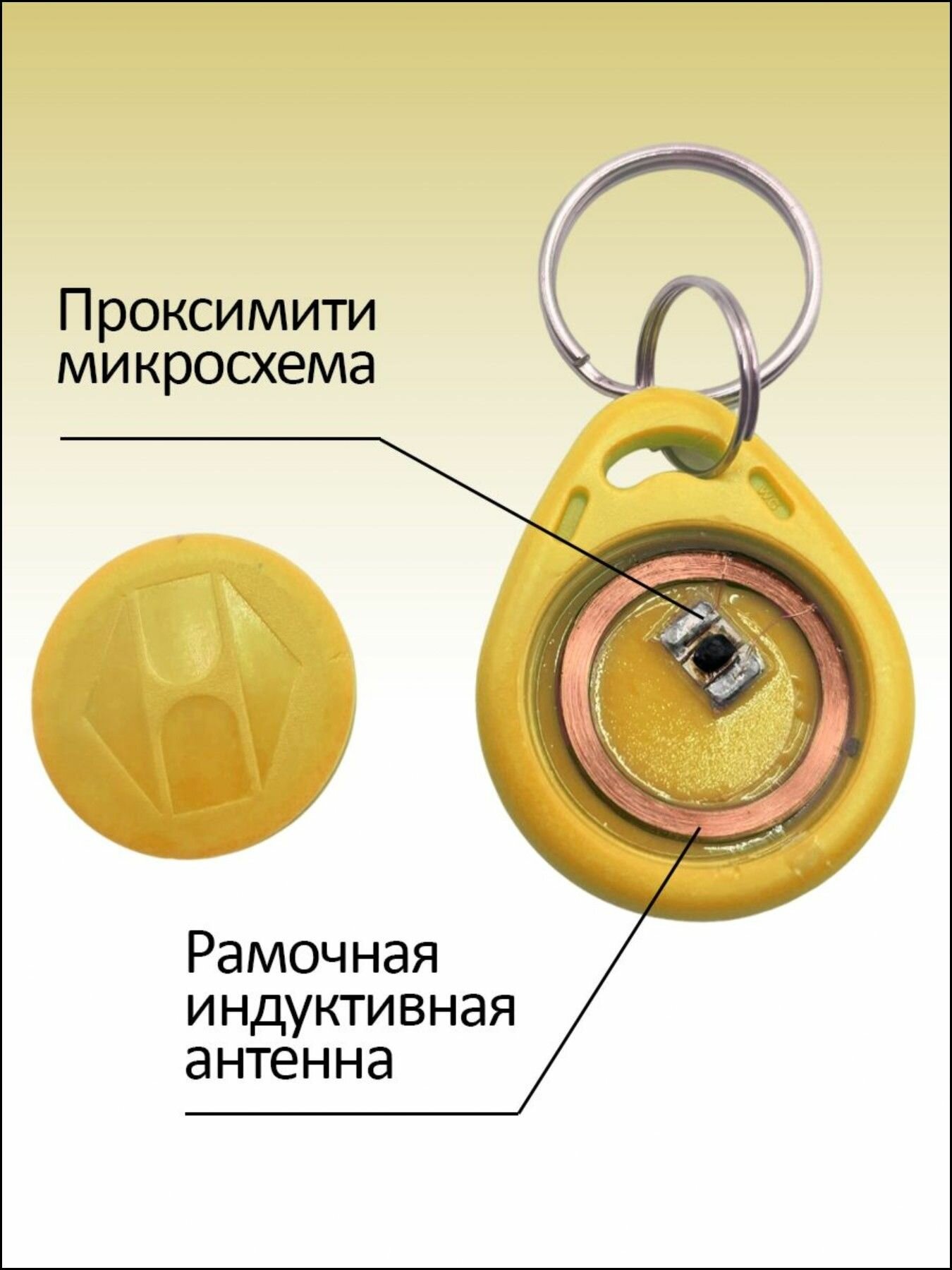 Электронный ключ — фото 1