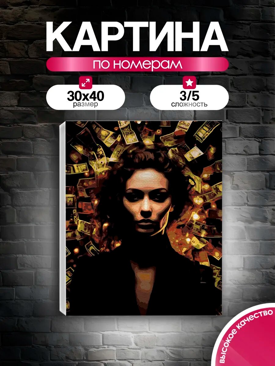 Картина по номерам 30x40 Девушка Денежный поток
