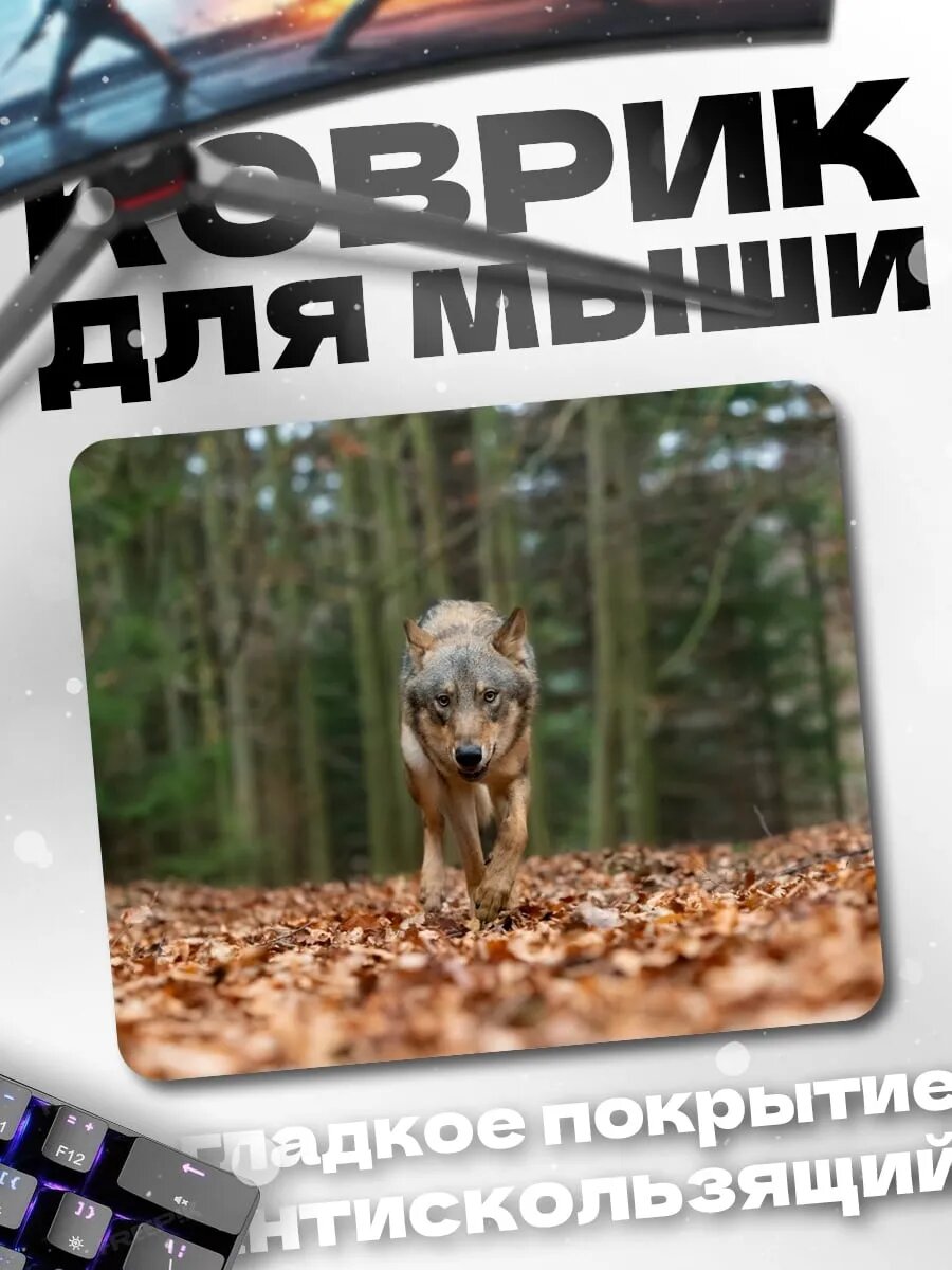 Коврик для мыши Волк в лесу