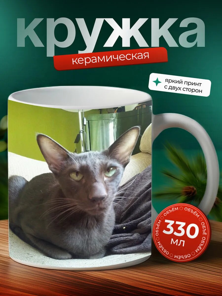 Кружка Ангорский полосатый кот 29,