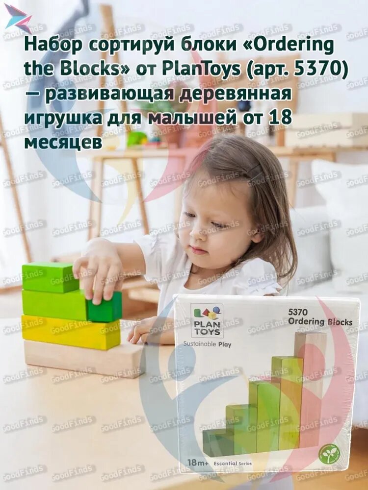 Набор сортируй блоки Ordering the Blocks от PlanToys (арт. 5370) развивающая деревянная игрушка для малышей от 18 месяцев