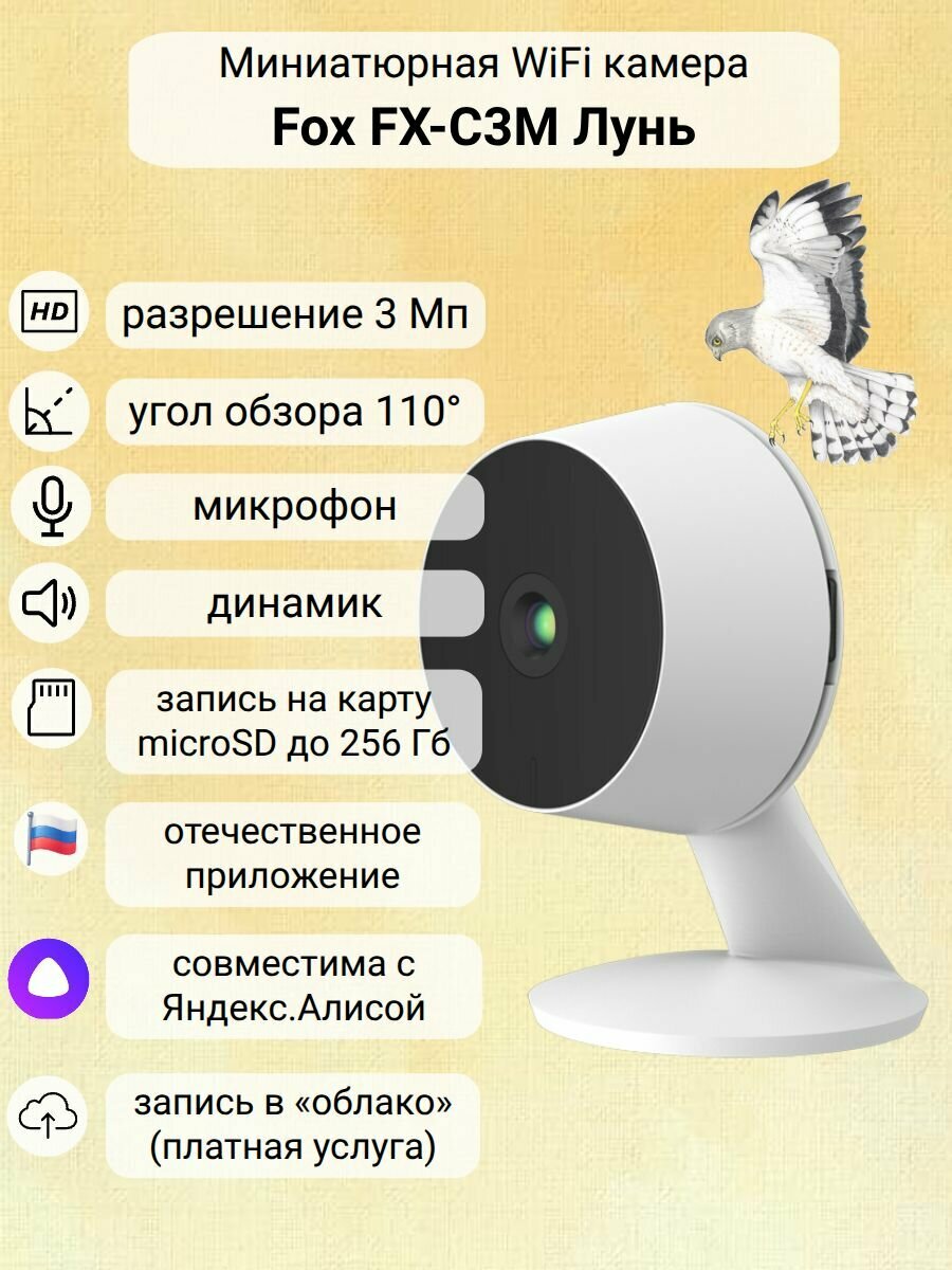 Умная камера видеонаблюдения WiFi для дома с Яндекс Алисой Fox FX-C3M Лунь / видеоняня