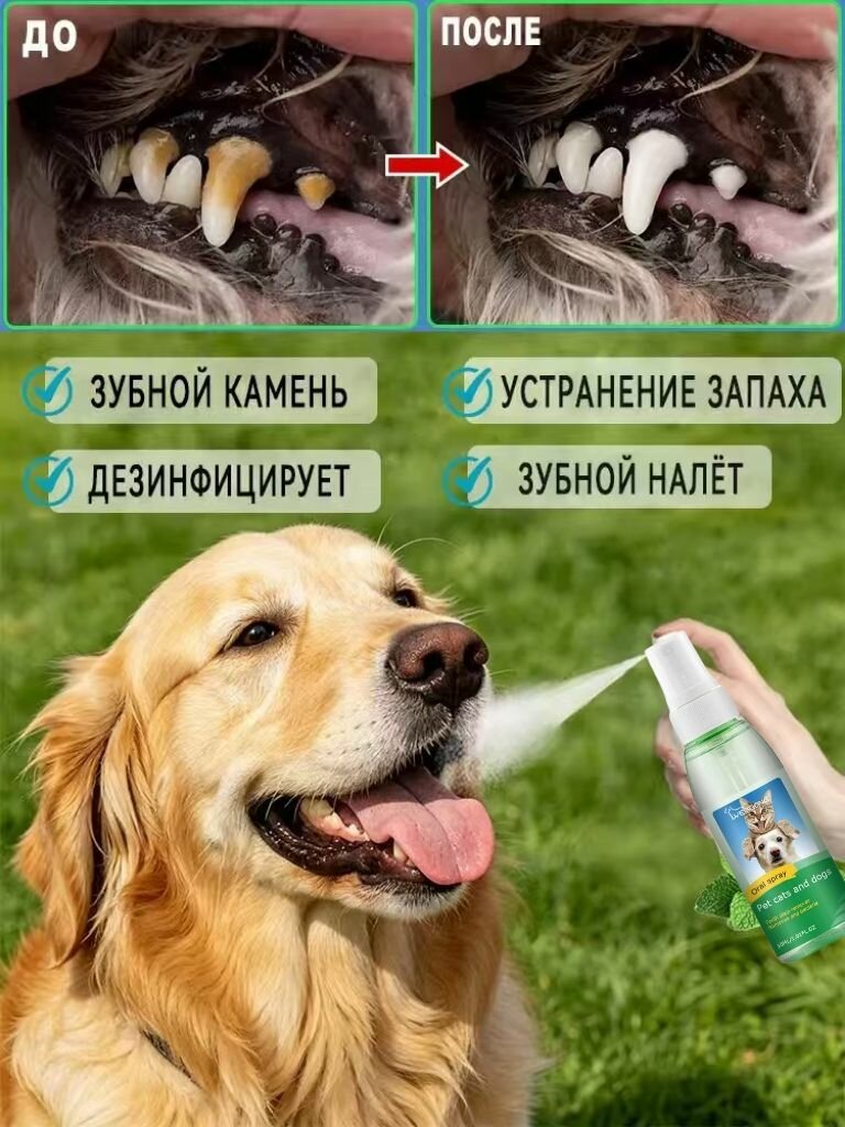 Спрей для ухода за полостью рта для кошек и собак, освежает дыхание, удаляет бактерии с зубного налета. Удаление зубного камня, бережная стерилизация.30 мл