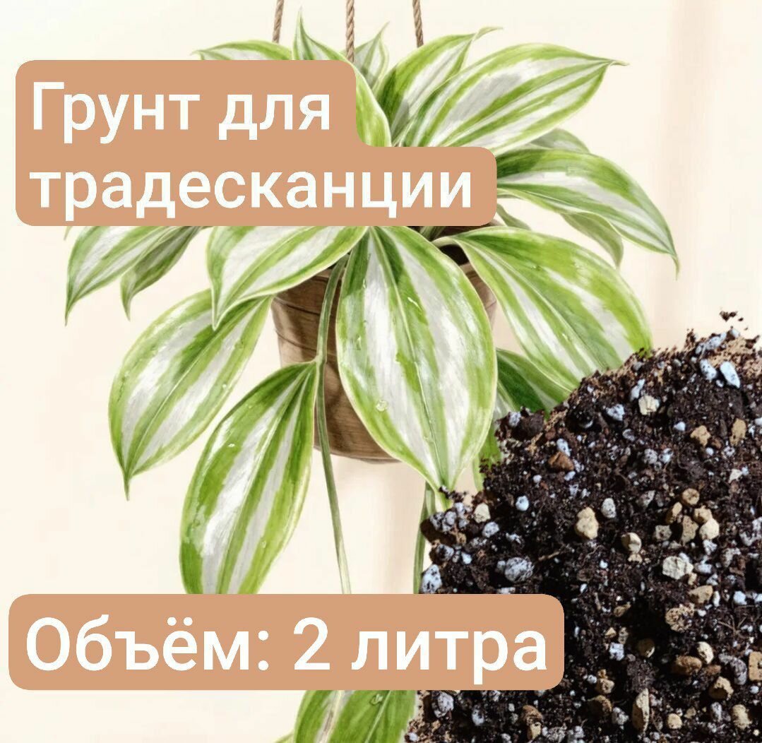 Грунт для Традисканции 2 литра