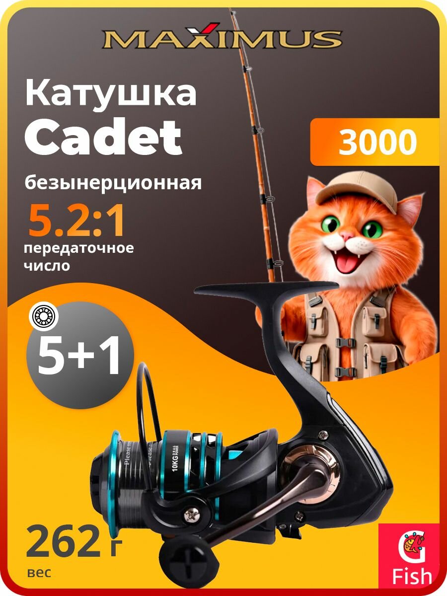 Катушка для спиннинга Black Side (Maximus) Cadet 3000FD (5+1 подш.)