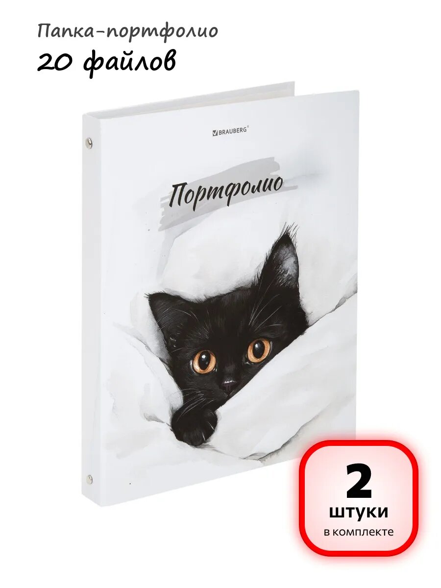 (2 штуки) - Папка-портфолио 20 файлов арт. 117557