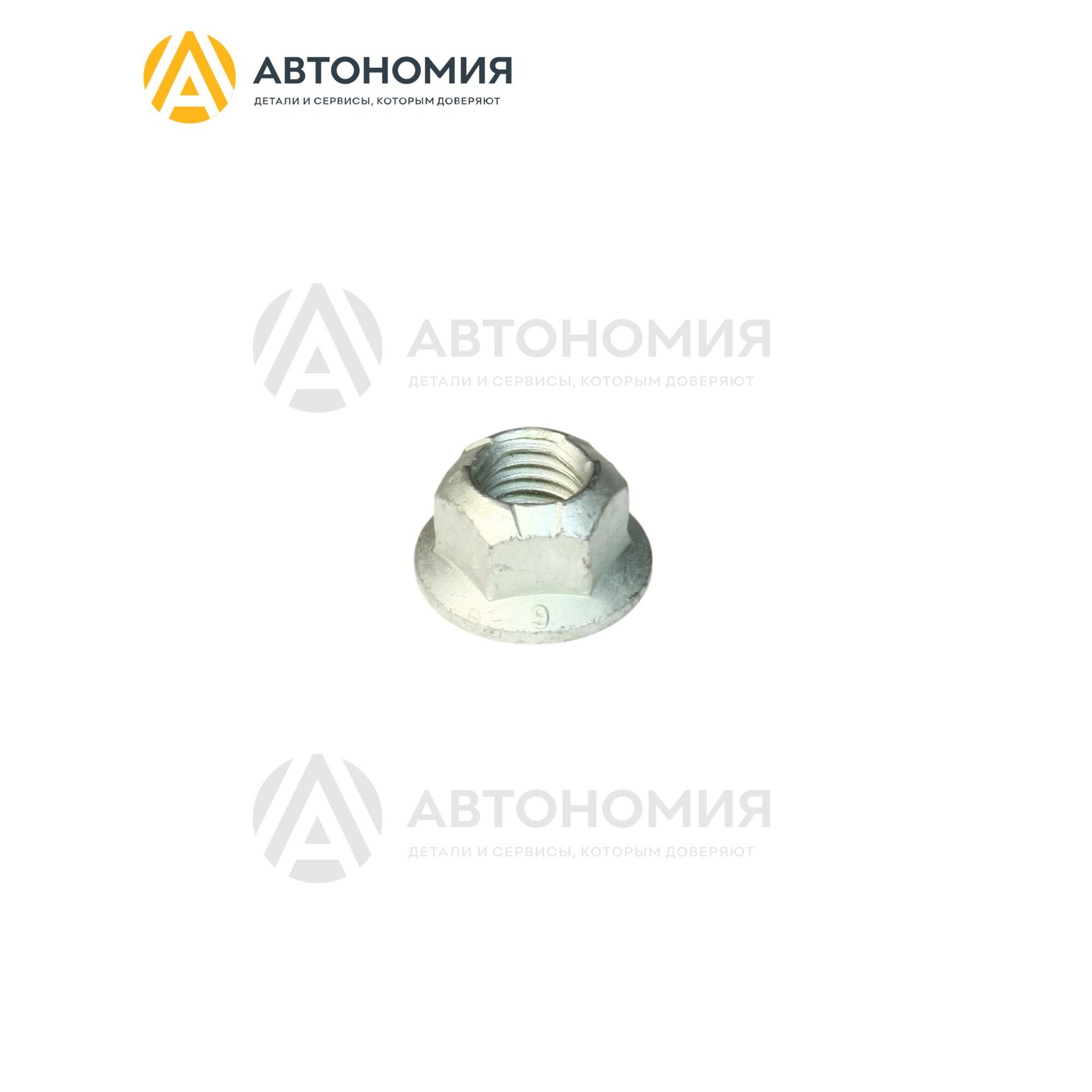 Гайка Fiat/Alfa Romeo/Lancia 0610 1696