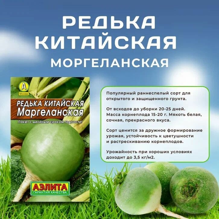 Семена Редька китайская "Маргеланская" Агрофирма редька маргеланская семена редьки