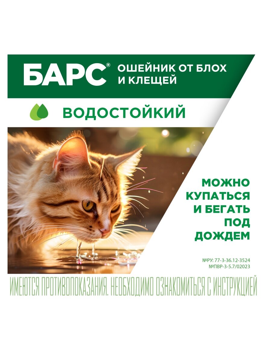 Ошейник Авз (агроветзащита) барс для кошек инсектоакарицидный защита от блох на 4 месяца — фото 1