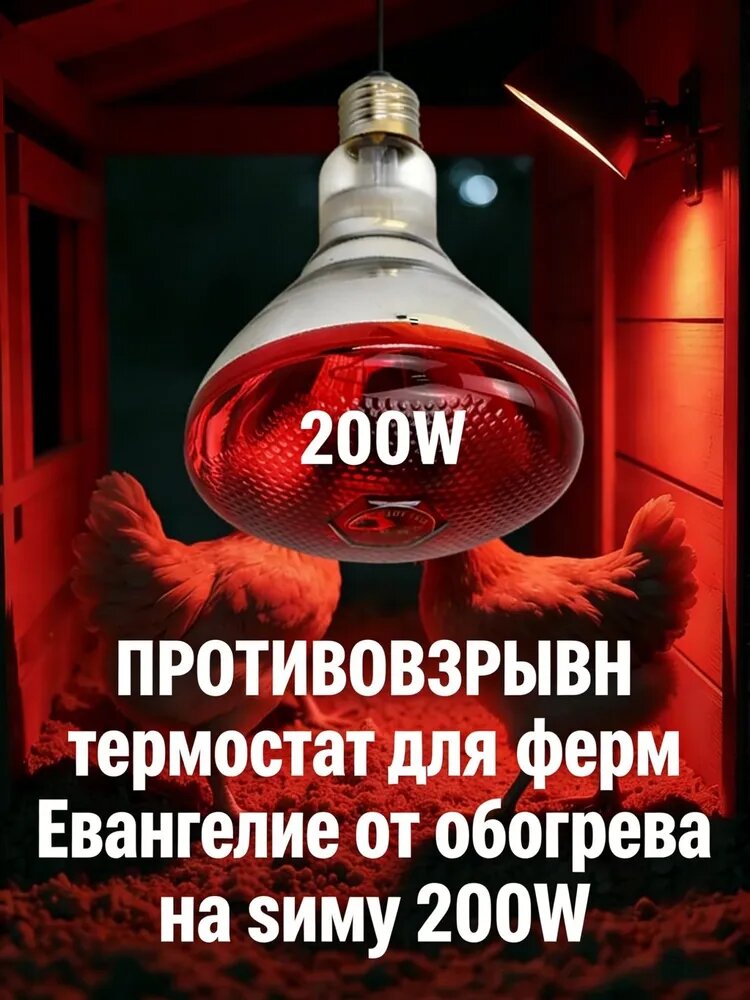 Инфракрасная лампа для курятника цыплят птиц животны цоколь E27, 1 шт / Инфракрасная лампа для обогрева