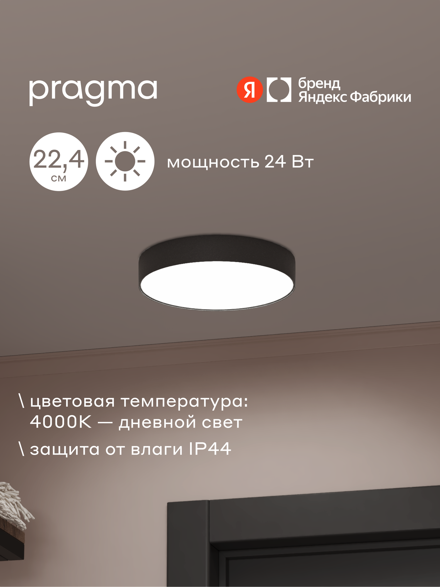 Pragma Tinsu Светильник потолочный светодиодный, 24 Вт, круглый, 224 мм, IP44, чёрный, нейтральный свет, 4000K