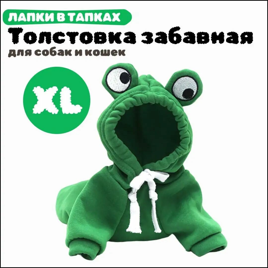 Одежда для животных
