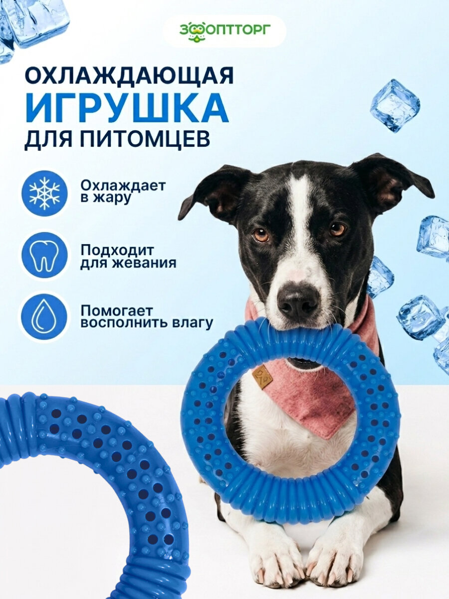 Охлаждающая игрушка M-Pets для собак Кольцо 10,8 см.
