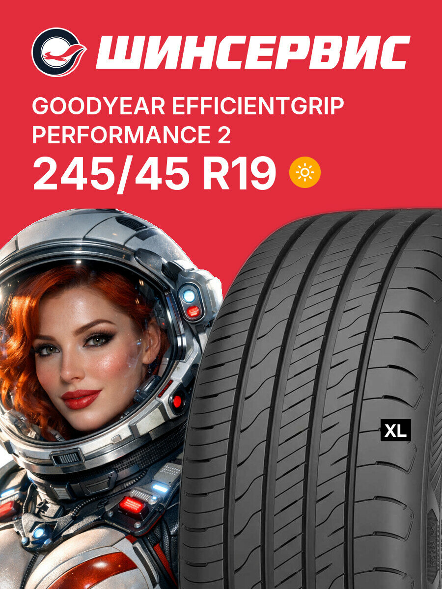 Летняя шина Goodyear EfficientGrip Performance 2 245/45 R19 102 V, летняя автомобильная резина