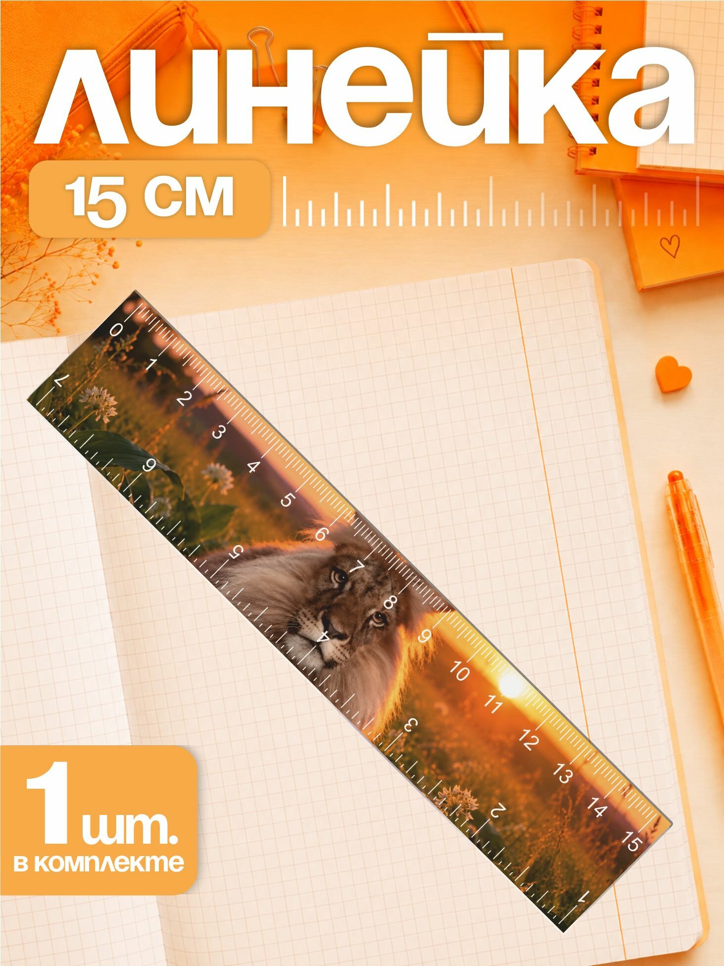 Канцелярия для школы линейка 15 см мем Черемша тик ток