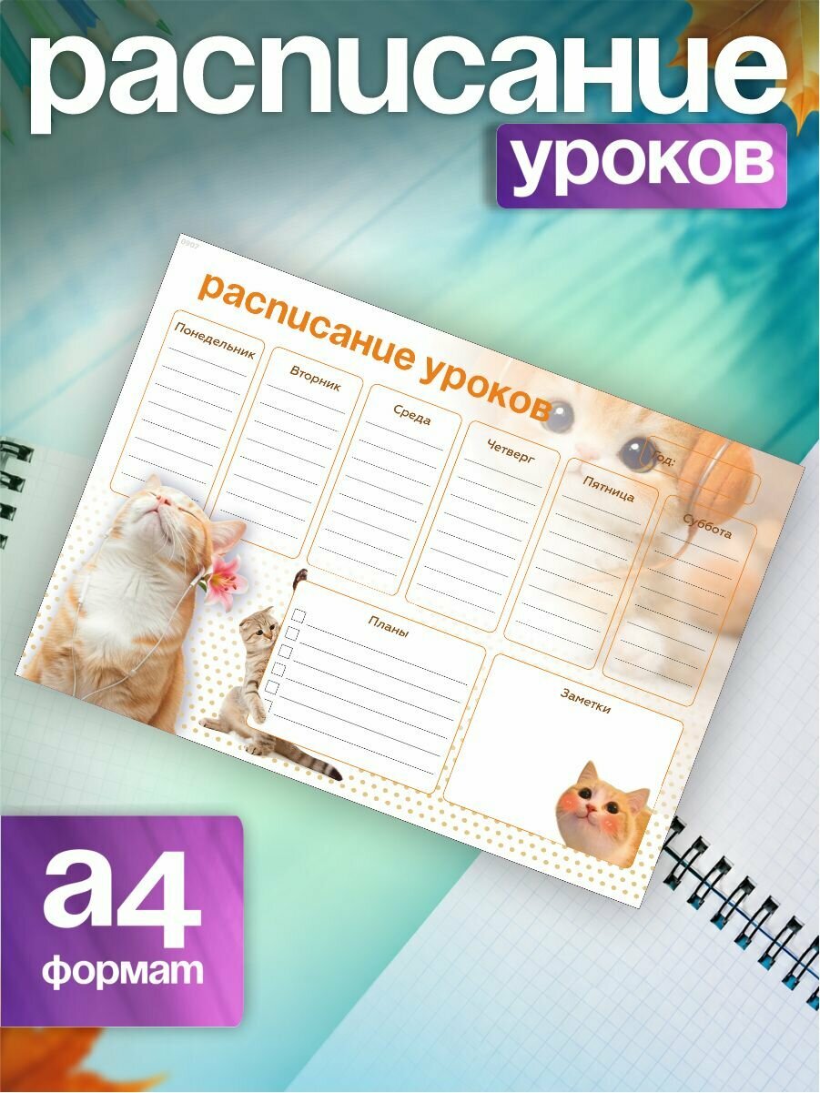 Расписание уроков канцелярия Котики