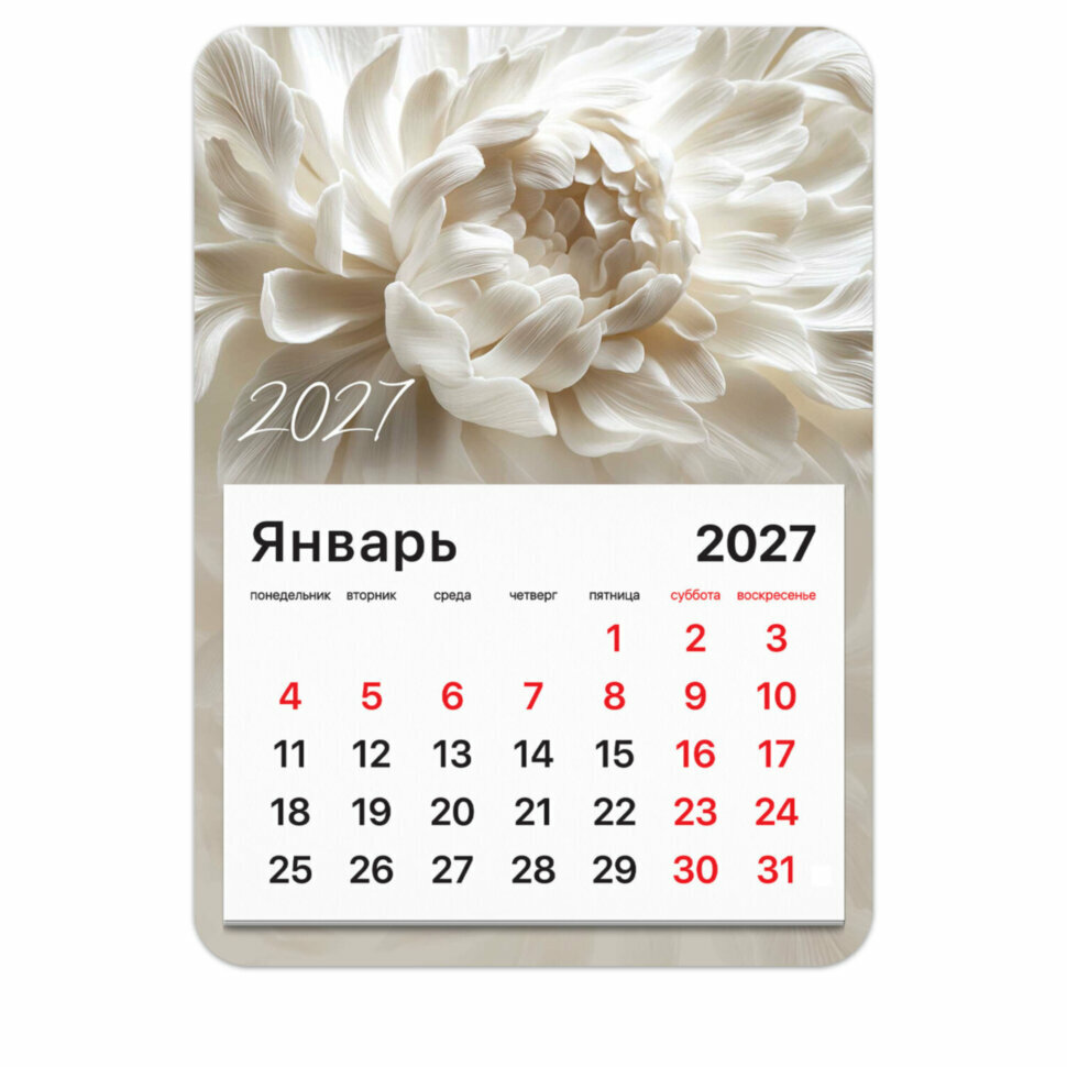 Календарь отрывной на магните на 2027 г, BRAUBERG, 130x180 мм, склейка, "Пион", 118336, 118336