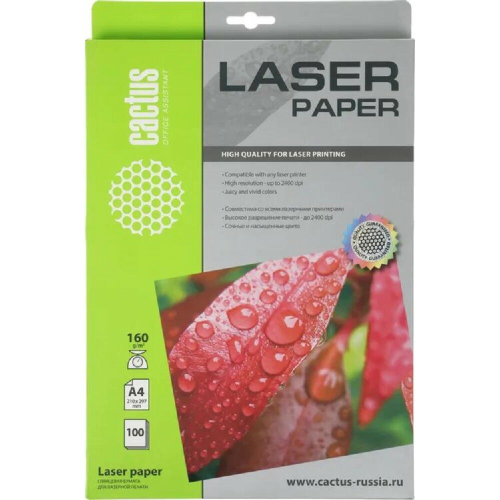 Бумага Глянцевая Cactus CS-LPA4160100 A4 160 г/м2