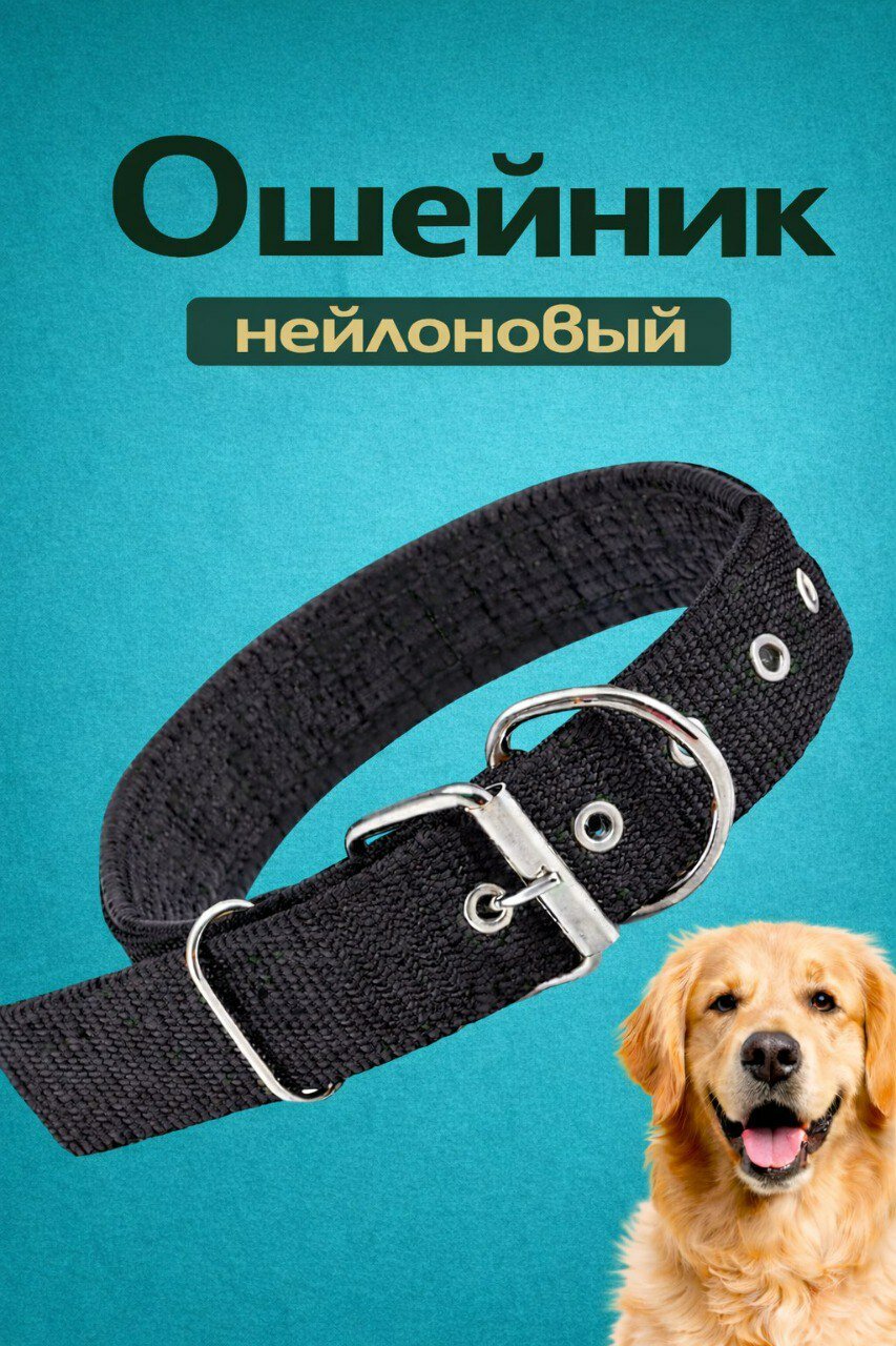 Ошейник для собак с пряжкой 10