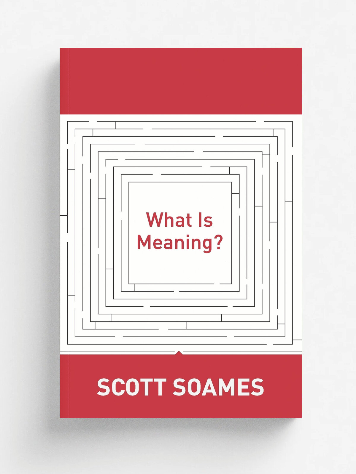 What Is Meaning?
